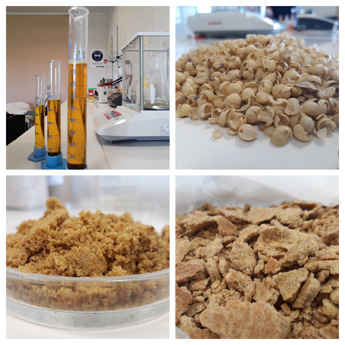 Planta de extracción de aceite de soja – Silocar | Agregamos Valor a la ...